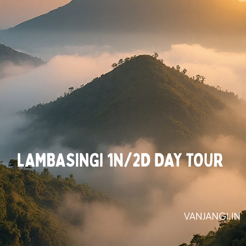 The 5 Best Resorts & Hotels in Lambasingi Hills of 2025