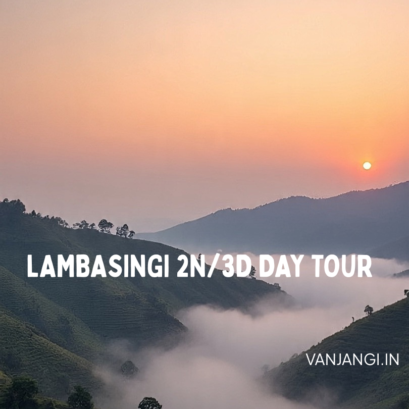 The 5 Best Resorts & Hotels in Lambasingi Hills of 2025